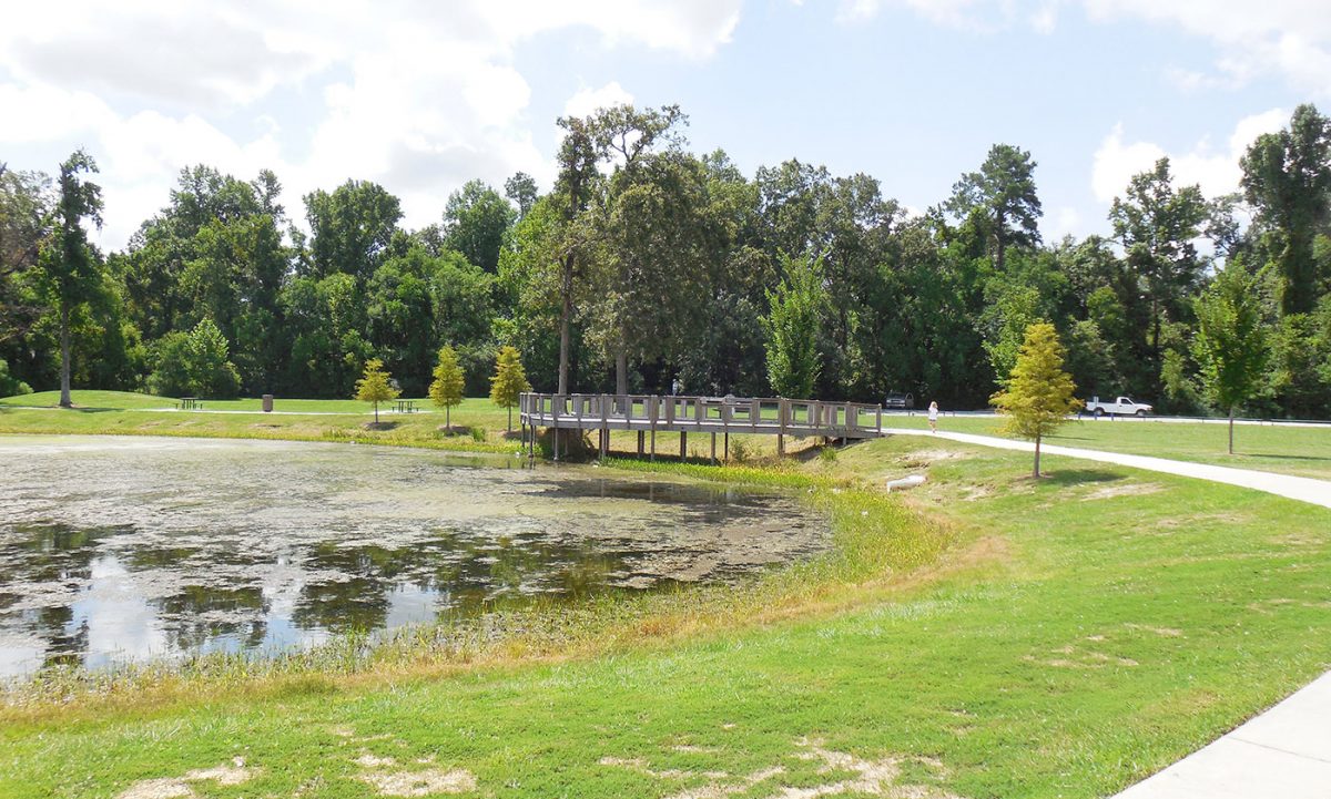 FOREST COMMUNITY PARK – Dana Brown and Associates