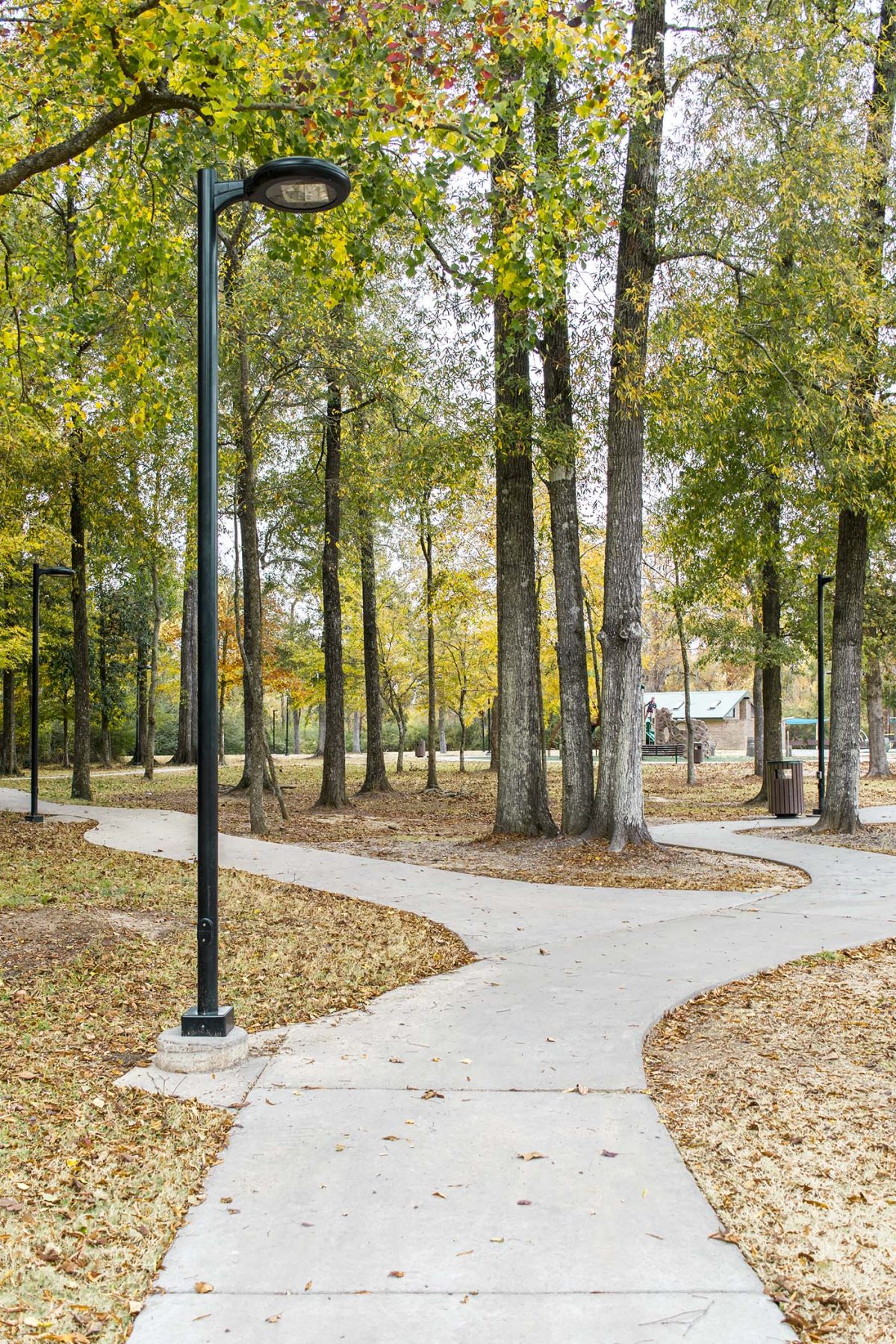 FOREST COMMUNITY PARK – Dana Brown and Associates